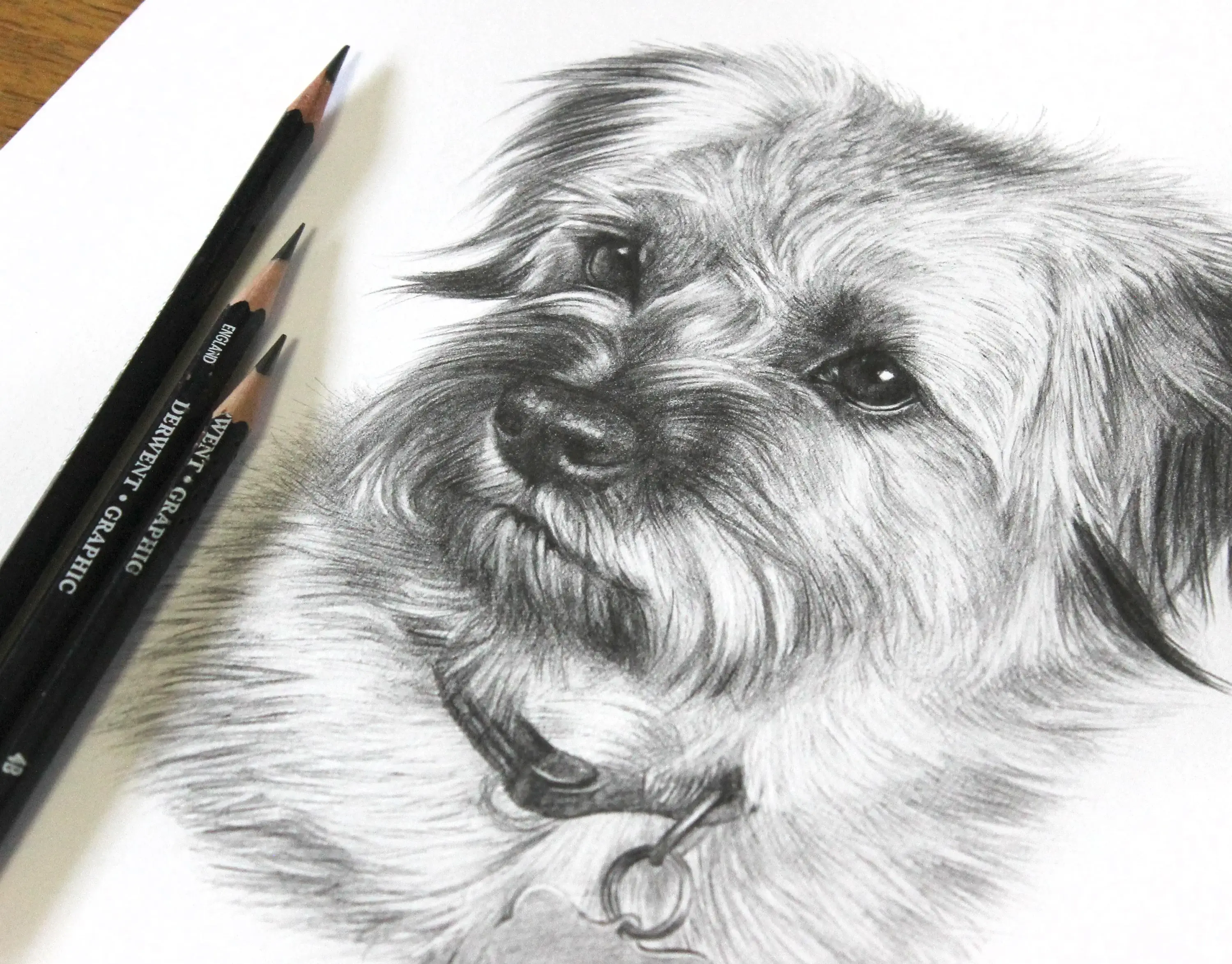 Pencil Pet Portraits by Melanie Phillips